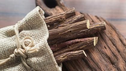 Lukrecja – właściwości zdrowotne i zastosowanie w medycynie naturalnej